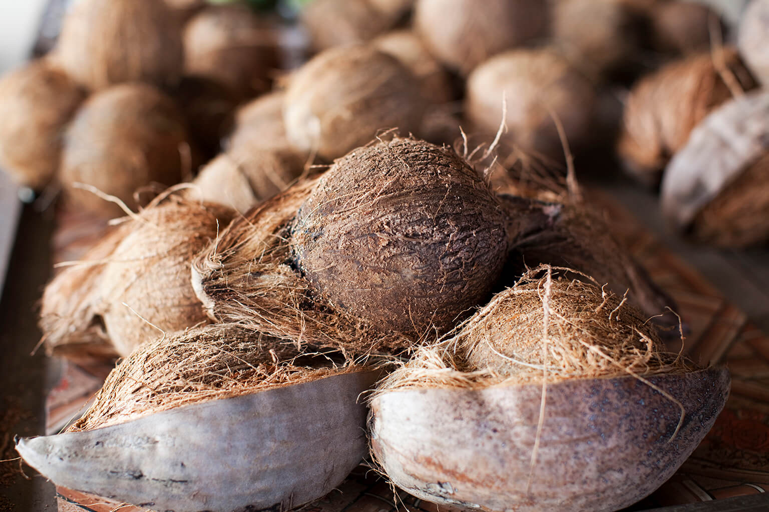 Feed The Need: The Cuisine of Fiji Awaits - The Travel Yogi